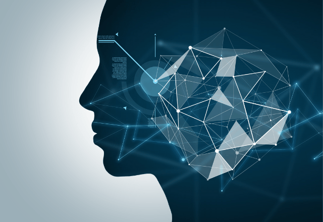 WTE Technology Solutions Services