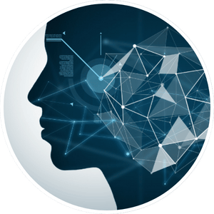 WTE Technology Solutions Services